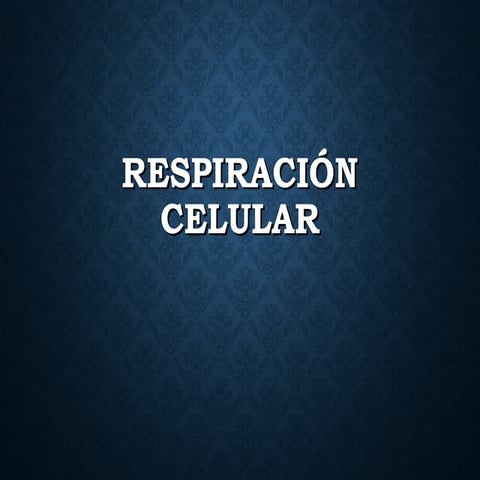 respiracion celulR.ppt BIOLOGIA SECUNDARIA | PPT