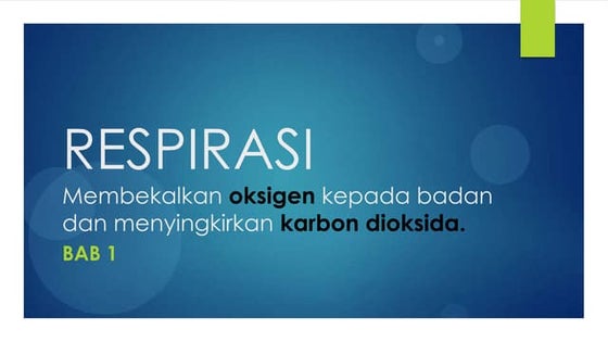 6.7 sistem respiratori | PPTX