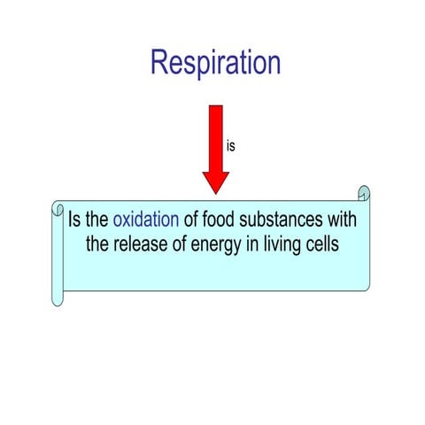 Respiration | PPT