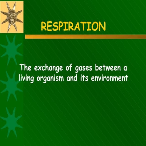 Respiration | PPT