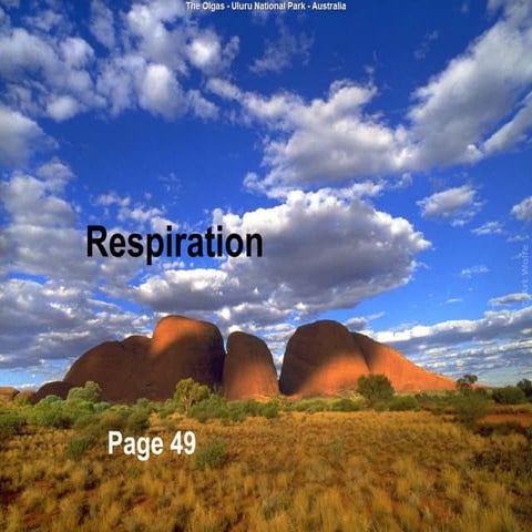 Respiration | PPSX | Lung and Respiratory Health | Diseases and Conditions