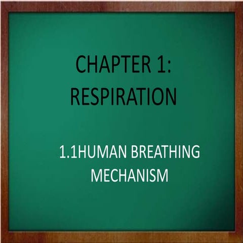 Respiration | PPTX