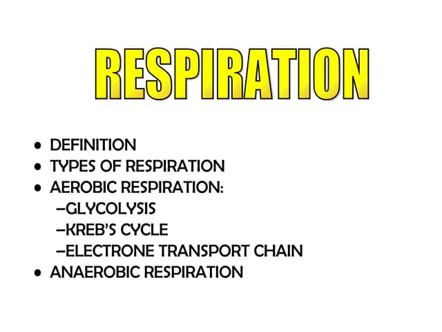 Grade 11 cellular respiration | PPTX