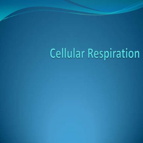 Cellular Respiration PowerPoint | PPT