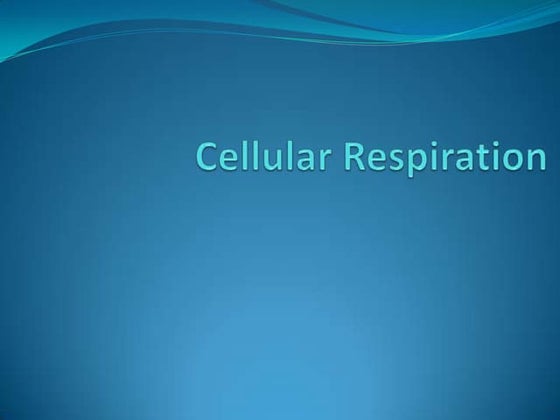 Grade 11 cellular respiration | PPTX