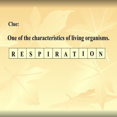 Respiration | PPT | Lung and Respiratory Health | Diseases and Conditions