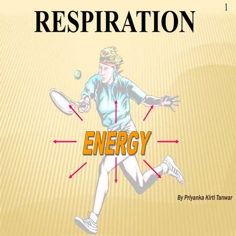Respiration | PPT