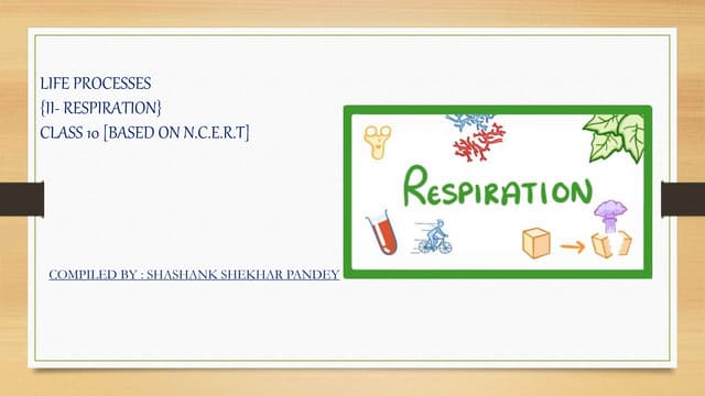 Chapter - 10, Respiration in Organisms, Science, Class 7 | PDF
