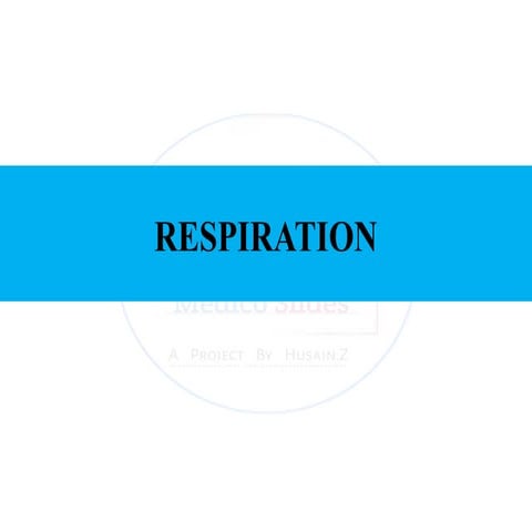 HUMAN RESPIRATION CHAPTER FOR NURSES.pptx