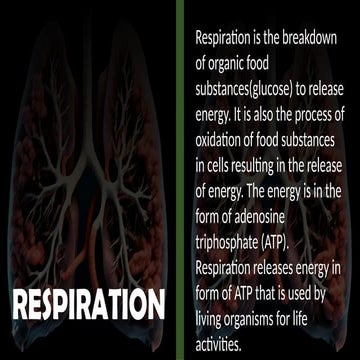 Respiration as a source of energy for the body processes.pptx