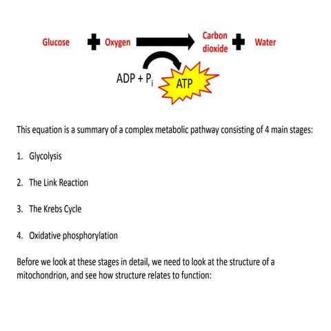 Respiration biochemistry | PPTX