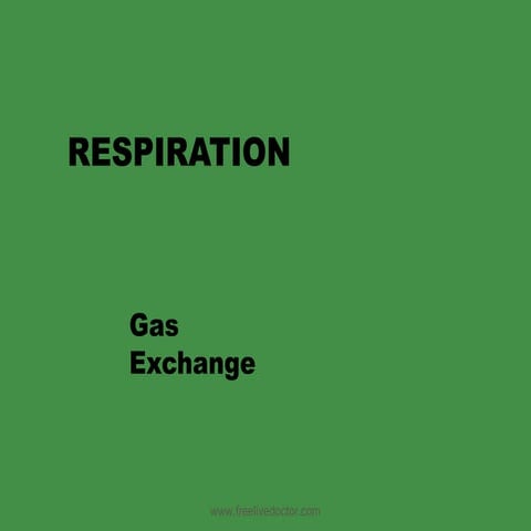 Respiration Gas Exchange | PPT