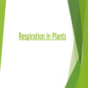 Respiration in higher plants class 11th NCERT bio | PPTX