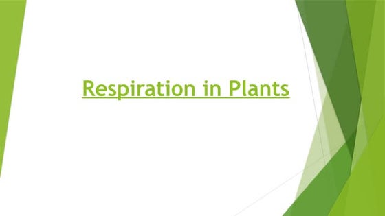 respiration in plants | PPTX