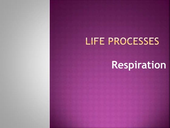 Chapter - 10, Respiration in Organisms, Science, Class 7 | PDF