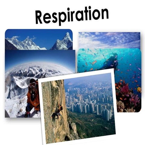 Respiration reaction in living organisms | PPTX