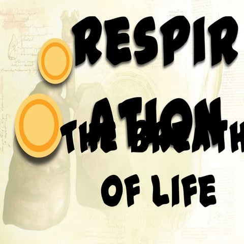 Respiration | PPTX