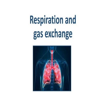 Respiration And Gas Exchange | PPT