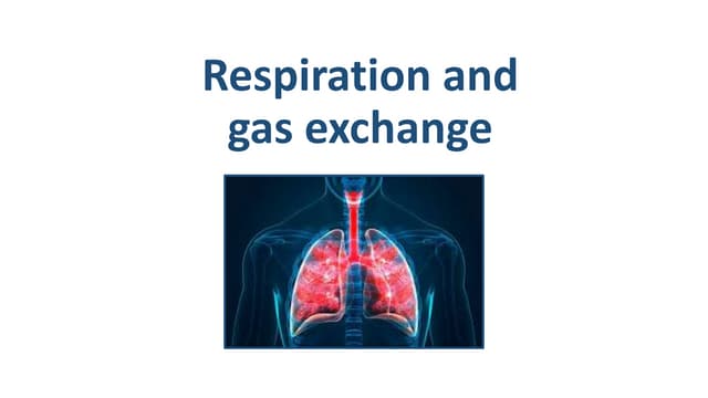 Respiration & Gas Exchange | Cambridge IGCSE Biology | PDF