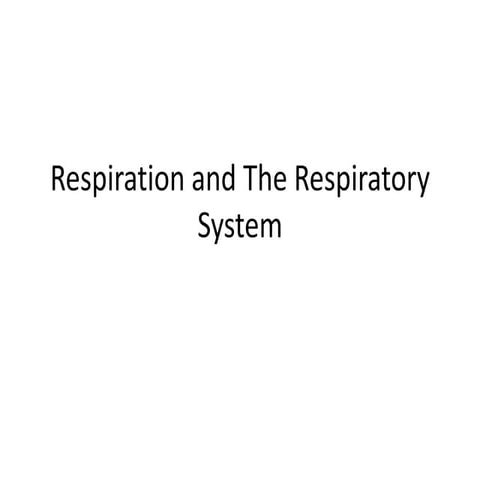 Respiration and the respiratory system revision | PPT