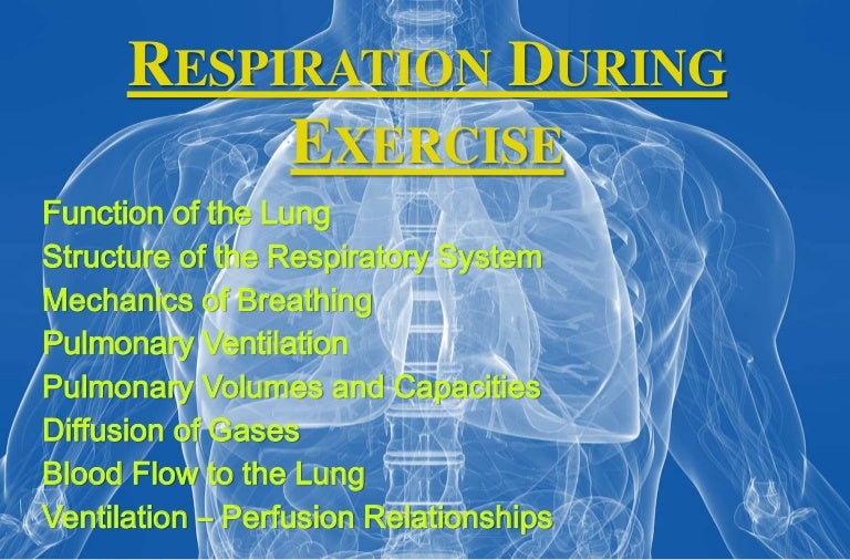Respiration During Exercise