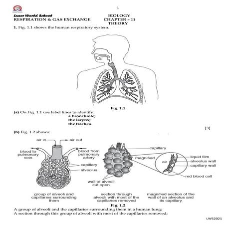 RESPIRATION & GAS EXCHANGE THEORY QP.pdf