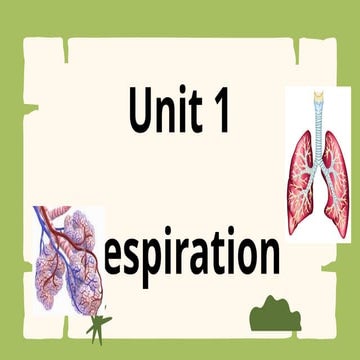 Respiration grade 7 cambridge curriculum .pptx