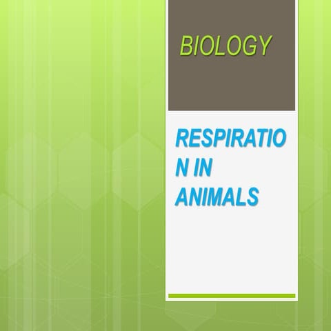 Respiration in living organisms CLASS 7 | PPTX