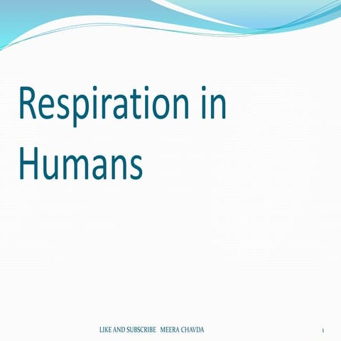 Respiration in humans grade 7 notes | PPTX