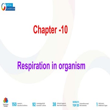 Respiration in organism | PPTX | Lung and Respiratory Health | Diseases ...