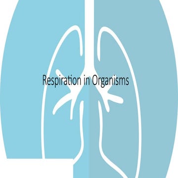 Respiration in living organisms CLASS 7 | PPTX