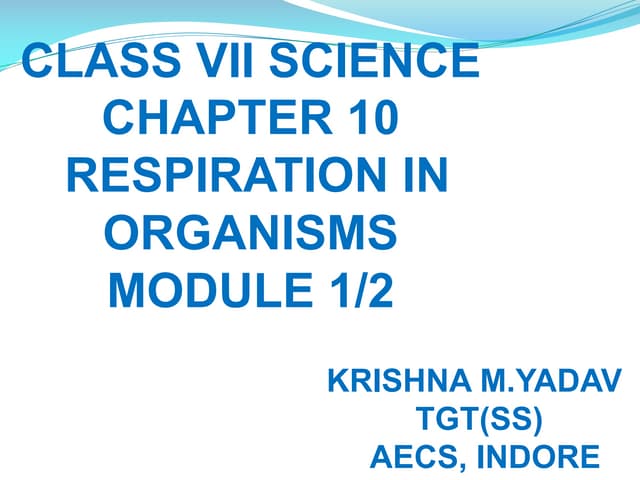 Chapter - 10, Respiration in Organisms, Science, Class 7 | PDF