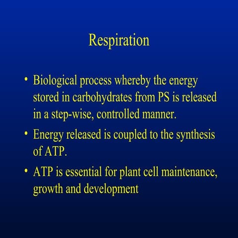 Plant Respiration Ppt Photosynthesis And Cellular Respiration