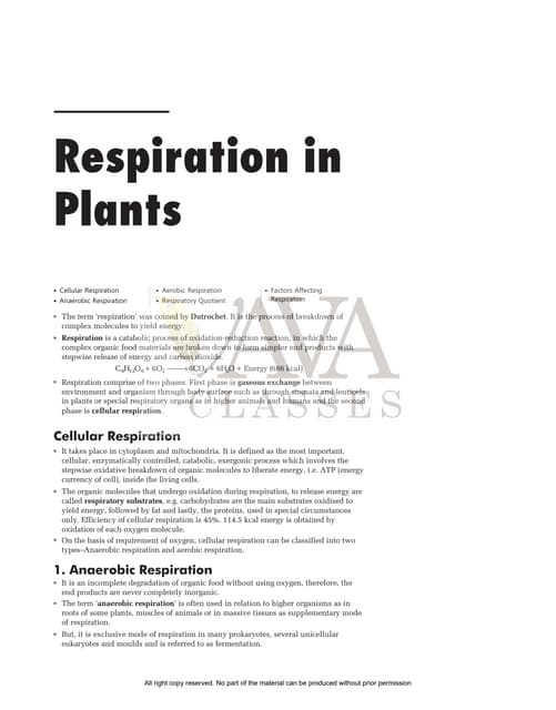 Cellular respiration for High School, Biology | PPTX | Chemistry | Science