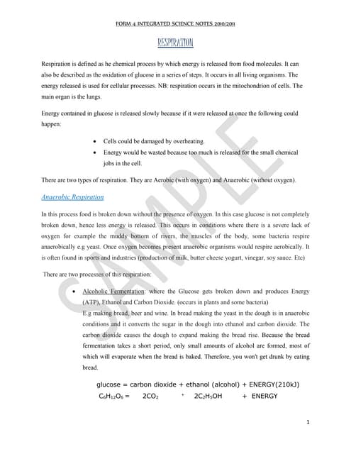Science 6_Q2_L6_Parts and Function of Respiratory System.pptx | Lung ...