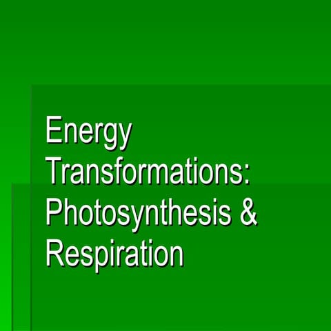 Respiration & photosynthesis | PPT