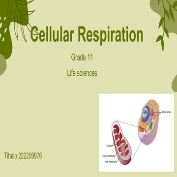 Cellular respiration is the process by which cells release energy from ...