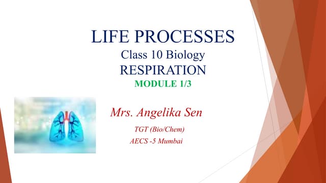 Grade 11 cellular respiration | PPTX