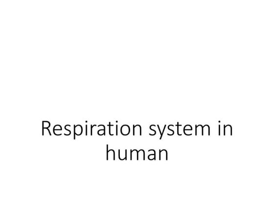 Parts and Function of Respiratory System - Grade 9 Science | PPTX