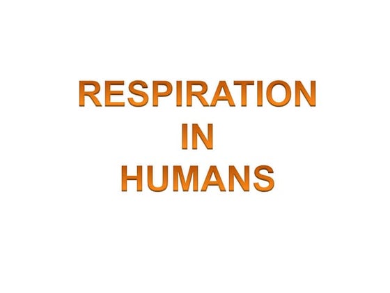 Respiration & Gas Exchange | Cambridge IGCSE Biology | PDF