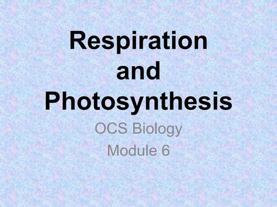 Photosynthesis and respiration powerpoints | PPT