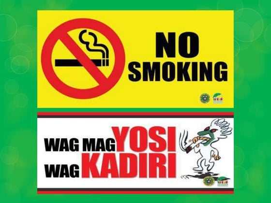 GENETICS 9 science 9 grade 9 curriculum.pptx | Genetics | Science