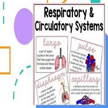 respiratory-and-circulatory-system-pdf-hand-outs.pdf