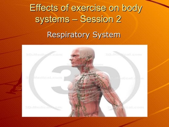 Respiratory system changes during exercises | PPT