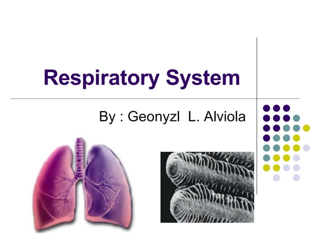 Comparative anatomy respiratory system | PPT