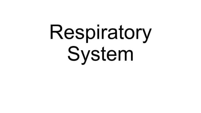 Respiratory System - Unit-2 of Anatomy & Physiology for Nursing Students | PDF