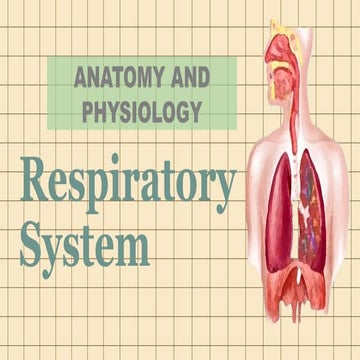 RESPIRATORY-SYSTEM AND ITS PARTS ANATOMY.pptx