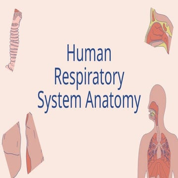 The Human Respiratory system for Grade 5 | PPTX