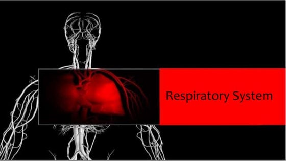 Respiratory System grade-9 Science-Quarter 1-week 1 | PPTX | Lung and ...