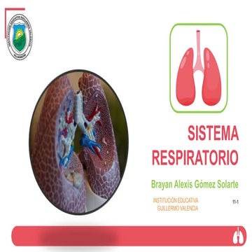 Respiratory-System-Template.pptx